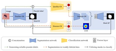 Diagnostics Free Full Text A Collaborative Learning Model For Skin Lesion Segmentation And