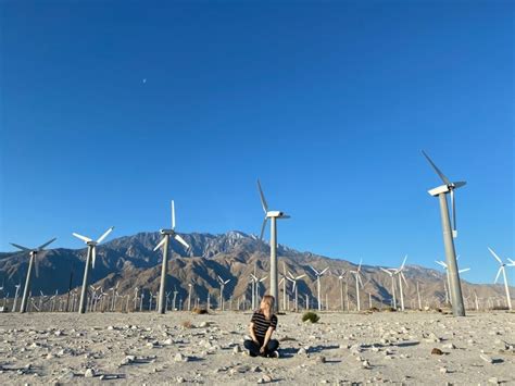 [미국 La 여행 계획] 조슈아트리 국립공원 투어 Best3 비교 총정리 네이버 블로그
