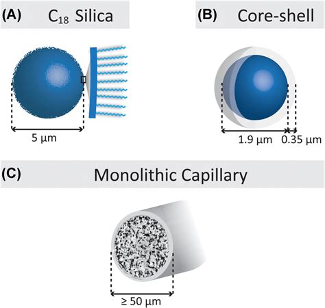 Schematics Of Various Stationary Phases Employed For Rplc Separation