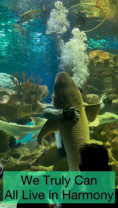 A S M Shamim Hassan On Linkedin Its Amazing