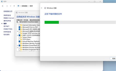 请问docker一直显示未开启虚拟机平台怎么办开发工具 Csdn问答