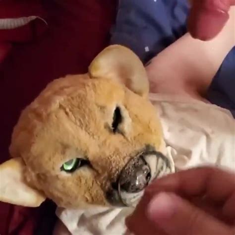 Puma Fursuit Gets A Group Muzzle Facial Thisvid Com