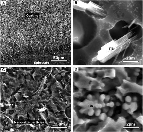 sem micrographs of the composite coating a bonding zone b the