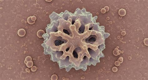 Intricate Microscopic Pollen Grain Structure Detailed Sem Image Stock