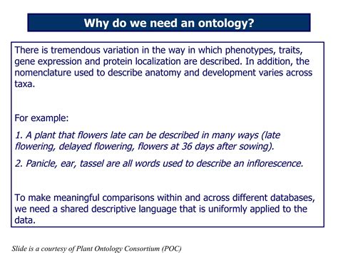 Ontology Development And Use For Efficient Information Input And Retrieval Ppt