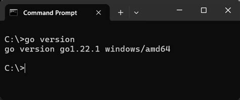 Connect Using The Sap Hana Go Interface Sap Tutorials