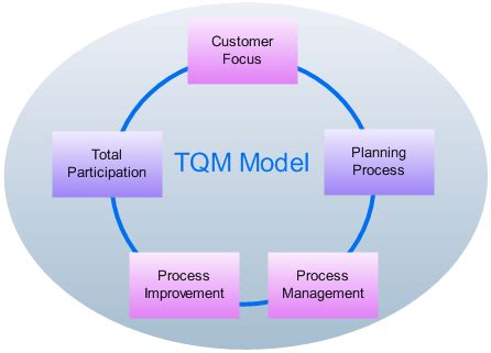 TQM Model Services At Rs 20000 Person S Hospital Quality Management Services Integrated