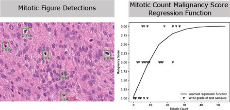 Automatic And Explainable Grading Of Meningiomas From Histopathology Images