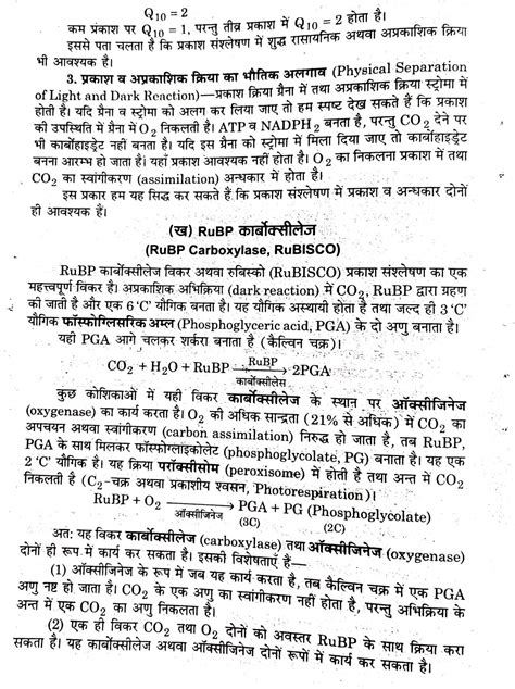 Bsc Nd Year Botany VI Plant Physiology And Biochemisty Part B Notes