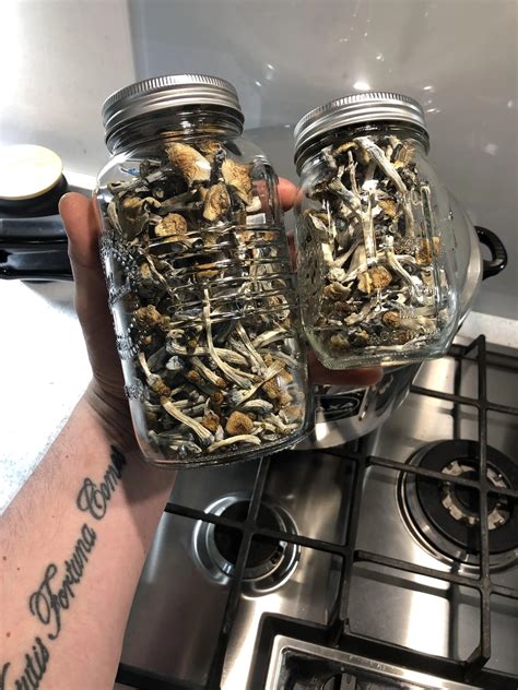 1st Flush From My Most Successful Tub 😊🙏🏻 Scrolller