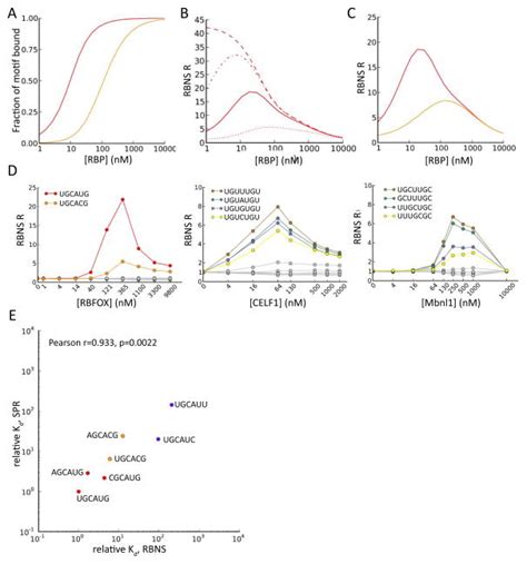 Rna Bind N Seq Quantitative Assessment Of The Sequence And Structural