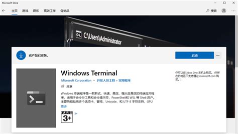 终端 terminal
