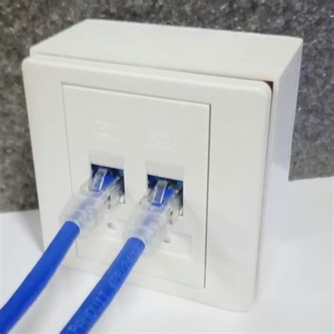 Jual Face Plate Utp Modular Cat 6 Outlet Modular Cat 6 Outbow 2 Hole Jakarta Pusat Myshop67