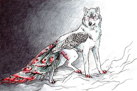 White Wolf Peacock Hybrid On Behance