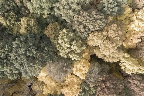 Monitor Stress Epidemiology