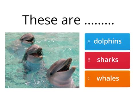 Timezones 1 Unit 3 Quiz