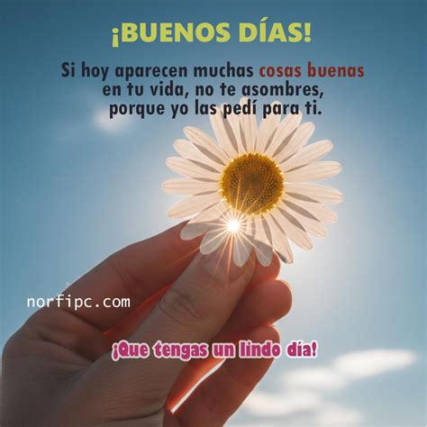 Imágenes De Buenos Días Con Frases De Oración