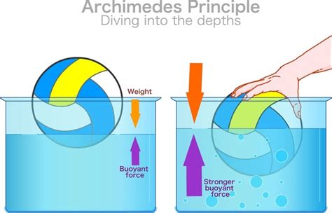 Archimedes Principle Explained