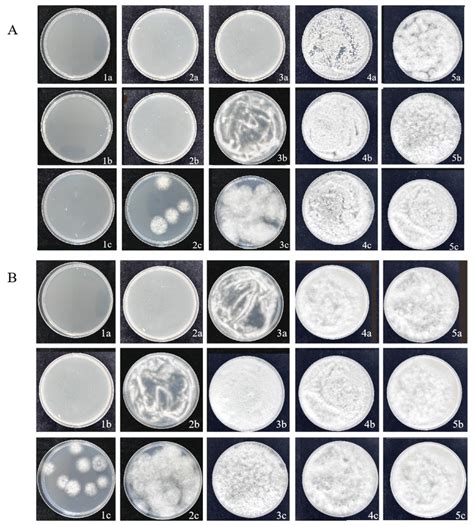 Ab Show Inhibitory Effects Of Different Volatile Components On C Download Scientific