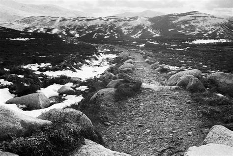 Devolution Of Management I Never Understood Devolution But Now By