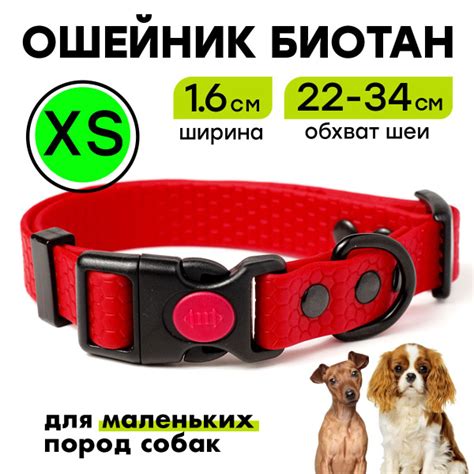 Ошейник биотановый 21-33 см (XS), 16 мм, Woofy "Iron", для маленьких ...