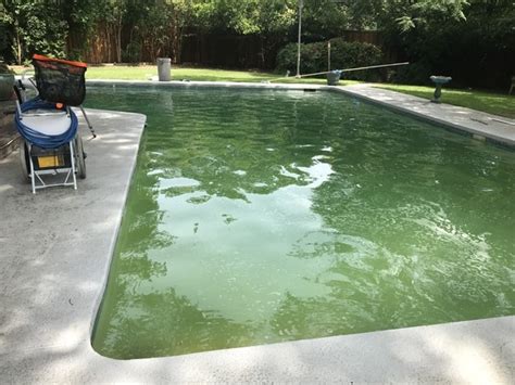 How To Remove Algae From A Pool Liquidus Pool Services