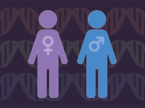 Researchers Pinpoint Genes Behind Sex Biases In Autoimmune Disorders Schizophrenia Broad
