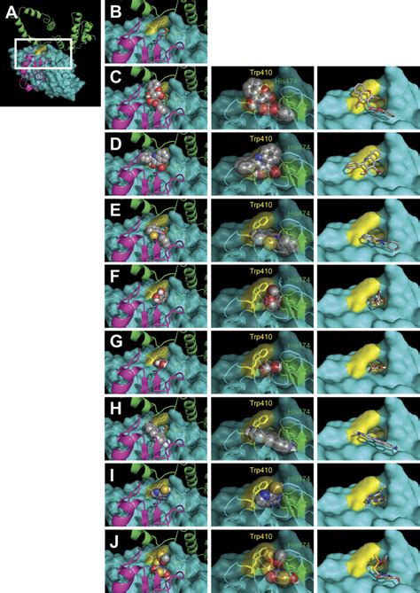 Low Energy Binding Poses Of Putative Inhibitors From Molecular Docking