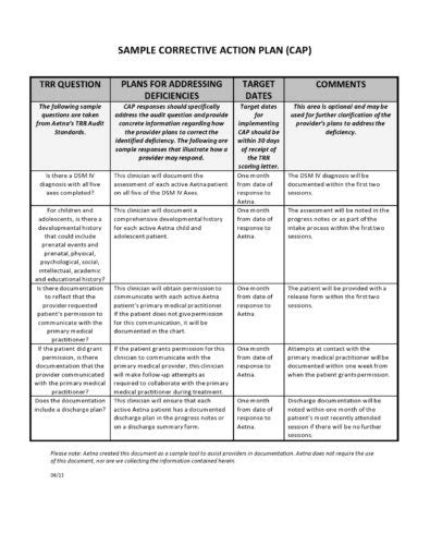 Best Corrective Action Plan Templates Word Excel