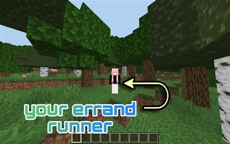 Run Errands And Complete Tasks For You In Minecraft Java Bedrock Edition By Malykumairr Fiverr
