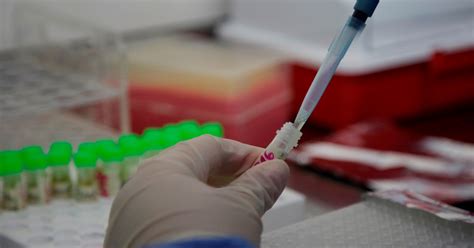 Murió La Niña Que Presentó El Primer Caso De Difteria En Perú En 20 Años Infobae