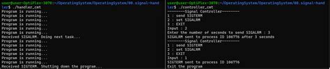 Signal Handler