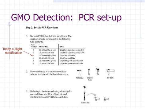 Ppt Todays Pcr Gmo Detection Powerpoint Presentation Free Download