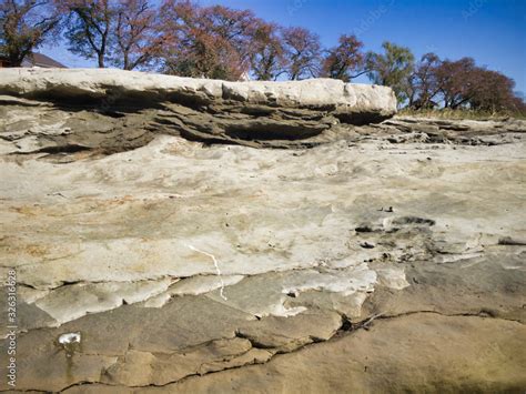 Tree Fossils That Look Like Traces Of A Bonfire A Miracle Land Where