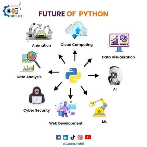 vesna zbodulja on linkedin python impact in digital world
