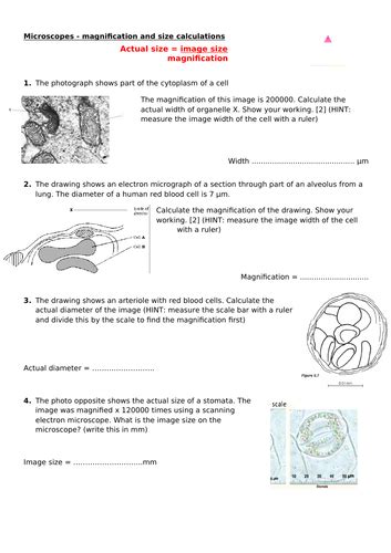 New Spec Microscope Calculations Teaching Resources