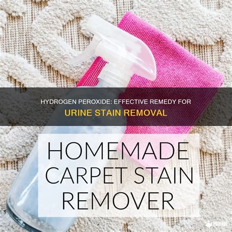 Hydrogen Peroxide Effective Remedy For Urine Stain Removal Medshun