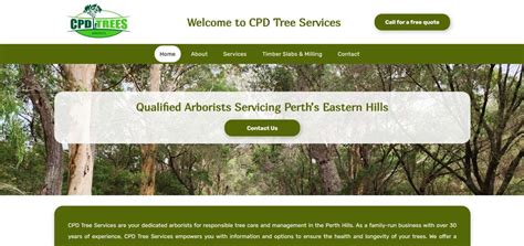Top Tree Removal Arborists In Perth Western Australia
