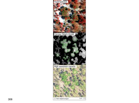 example of mapped individual tree crowns after lab digitization in