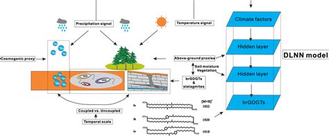 Schematic Diagram Reflecting The Divergent Responses Between Cosmogenic