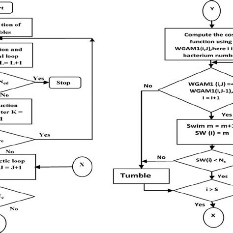 flow chart of bf pso algorithm download scientific diagram