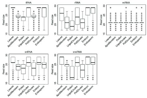 Size Distribution Of Reads Mapping To Different Ncrnas In Different