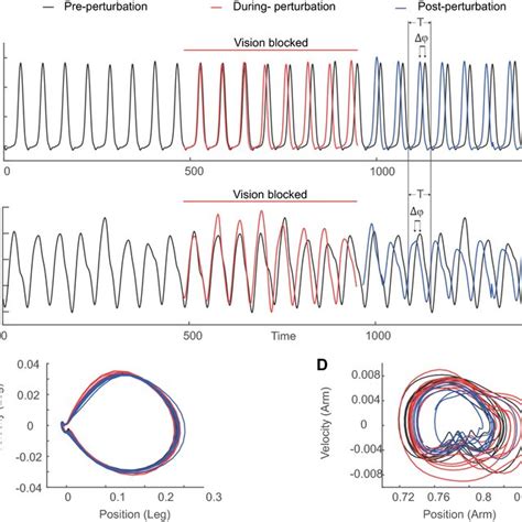 The Output Signals Of The Cpg Neural System Generate The Side Winding