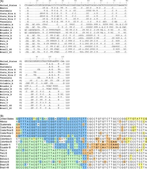 sequence alignment of parsimonius informative sites of the coding