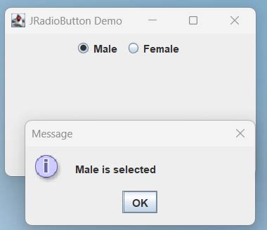 JRadioButton In Java Swing CoderSathi