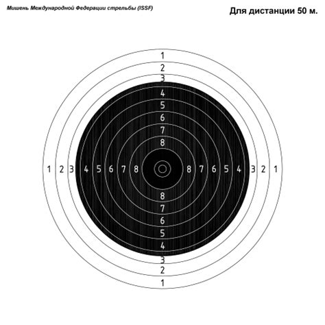 Мишени для соревнований
