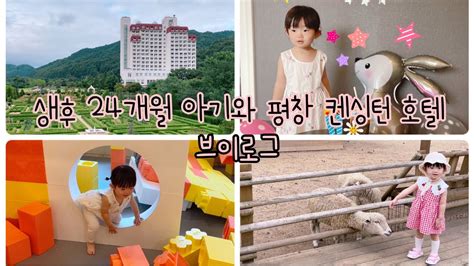 육아 여행 브이로그 생후 24개월 아기와 평창 켄싱턴 호텔 호캉스 즐기기 호텔에서 소박하게 두돌 생일파티 평창 밤하늘 애니멀팜 켄싱턴 호텔 소개 내돈내산 솔직