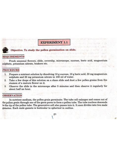 Practical 1 Pdf