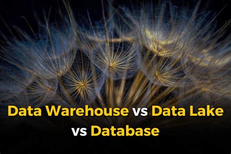 What Is The Difference Between Database And Data Warehouse And Data Lake