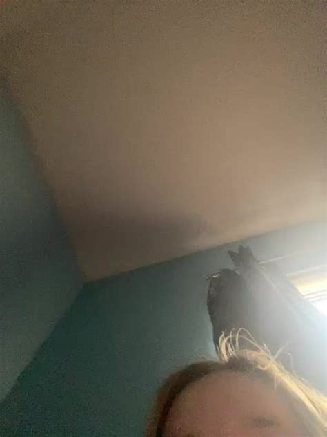 Petition Ban Lilly Tino From Disney And Tiktok United States Change Org